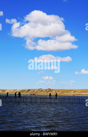 Hulunbuir Hulun Lake, Inner Mongolia Stock Photo - Alamy