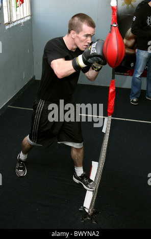 JAMIE KAVANAGH BOXER HOLLYWOOD LOS ANGELES CALIFORNIA USA 30 November ...