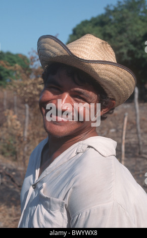 The Sertao, north east Brazil Stock Photo - Alamy