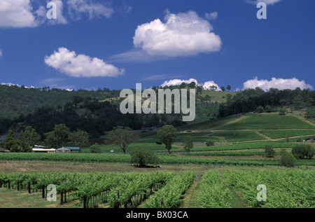 Lower Hunter Valley near Cessnock NSW Australia Stock Photo: 88350187 ...