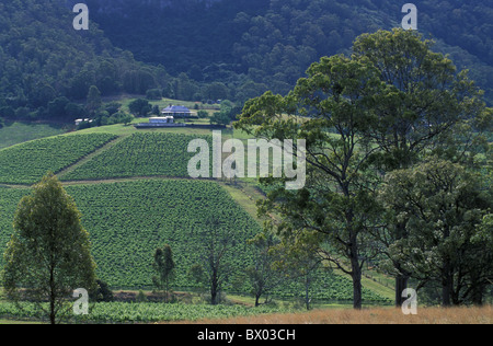 Lower Hunter Valley near Cessnock NSW Australia Stock Photo - Alamy