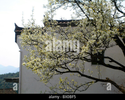 Traditional Hui style homes in a village, Jixi, Anhui Province, China ...