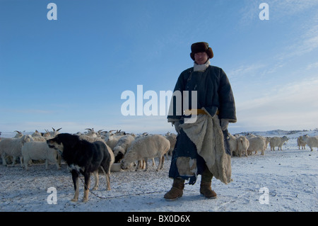 Barag Mongolian man herding a flock of grazing sheep, Old Barag Banner ...