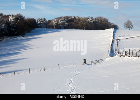 Snowy fields at Whirlow Hall Farm in Sheffield Stock Photo - Alamy