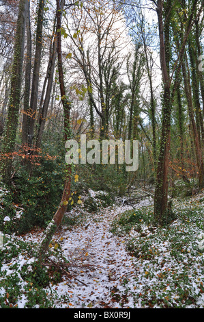 lucan in wintertime Stock Photo - Alamy