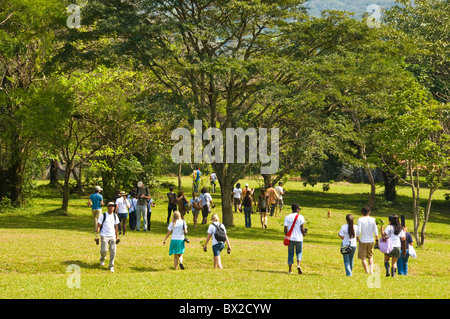 Peace University Campus Costa Rica Stock Photo - Alamy