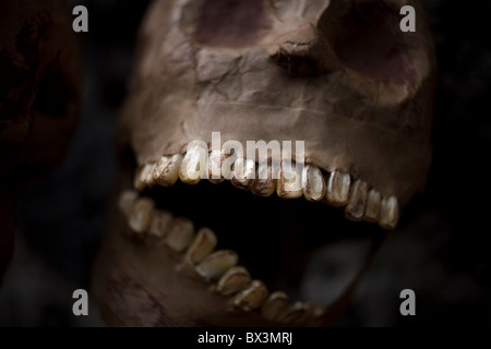 A paper skull with corn teeth lean against a wall during preparations ...