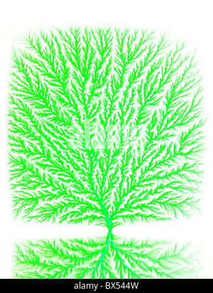 Electron Tree or Lichtenberg Figure Stock Photo - Alamy