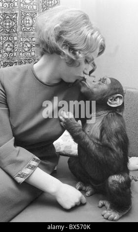 Eva Romanova, Pavel Roman, figure skater, pet, chimpanzee Stock Photo ...