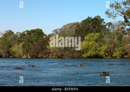 Lunga River, Kafue National Park, Zambia Stock Photo - Alamy