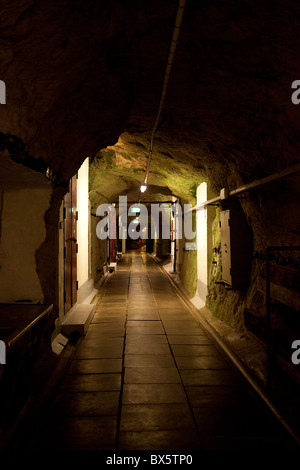 The Stevns Fort underground tunnels. Stevns. Denmark Stock Photo - Alamy