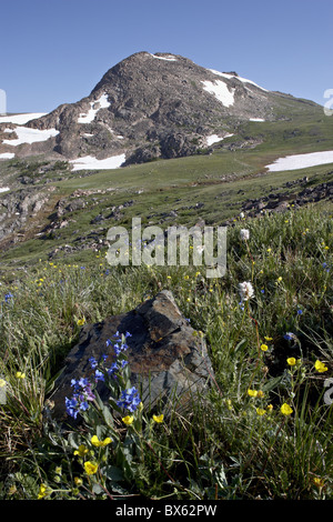 USA, Wyoming, Shoshone National Forest, View north from Beartooth Pass ...