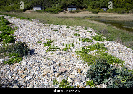 Fyns Hoved. Head of Funen, Denmark. Moraine landscape with tickets ...
