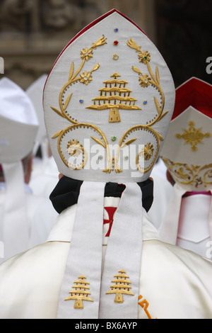 Bishop's Head or Bishop's Mitre Stock Photo - Alamy