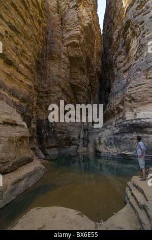 Essendilene Gorge, near Djanet, Southern Algeria, North Africa, Africa ...