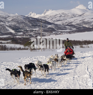 Tromso Tromsø Norway Dog sledding sledging with huskies husky dogs ...