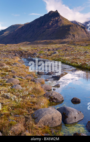 Arctic plants in Skaftafell National Park, Mount Hafrafell and ...