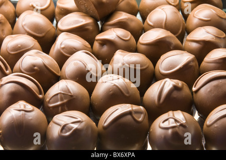 Chocolates at the Ganong Chocolate factory, New Brunswick, Canada ...