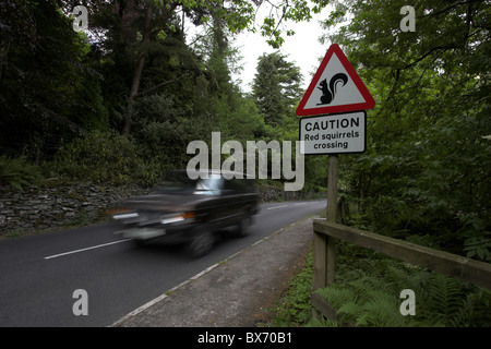 red squirrel road sign with car driving past Stock Photo: 33345593 - Alamy