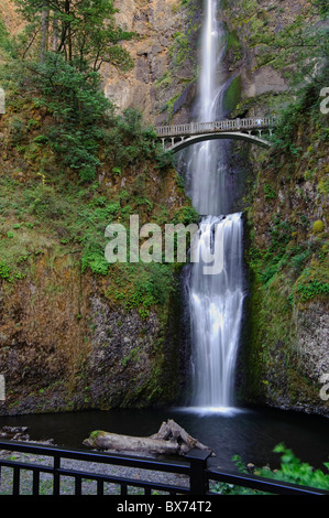 Multnomah Falls is a waterfall in the Columbia River Gorge National ...