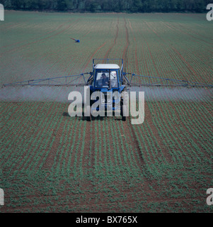 Ford tractor with mounted boom sprayer spraying a seedling pea crop ...