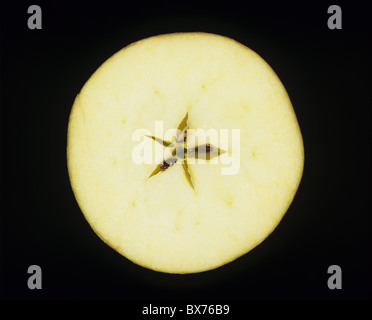 An apple seed cross-sectioned Stock Photo - Alamy