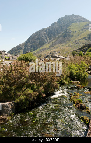 Welsh mountain stream Stock Photo - Alamy