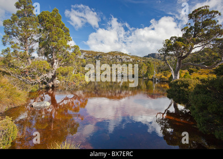 Wombat Pool, Cradle Mountain - Lake St Clair National Park. Tasmania ...