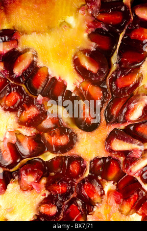 close up of Ripe pomegranate fruit Stock Photo - Alamy