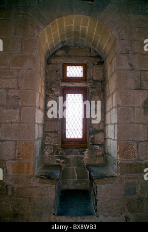 Carcassonne fortress or castle inside the old walled town. The small ...