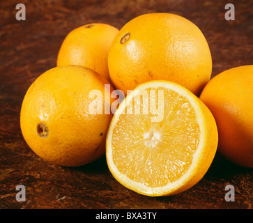 FLORIDA NAVEL ORANGES STUDIO Stock Photo - Alamy