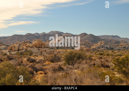 Barker Dam Trail Stock Photo - Alamy