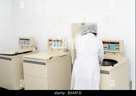 A nurse puts blood containers into a plasma centrifuge Stock Photo - Alamy
