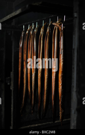 Jesse Pattison at Bowdens Farm Smokery, with smoked eel Stock Photo - Alamy