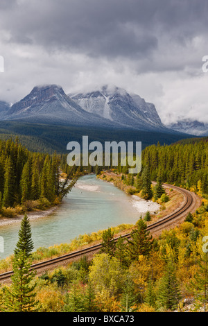 A train passes through the Morant's Curve in Bow Valley Parkway with Bow Range as background ...