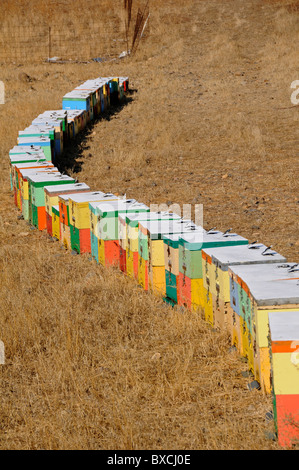 Colourful Bee hives. Crete, Greece Stock Photo - Alamy