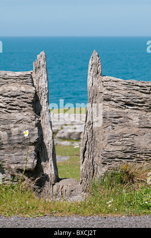 Squeeze stile in drystone wall. Black Head, The Burren, County Clare ...