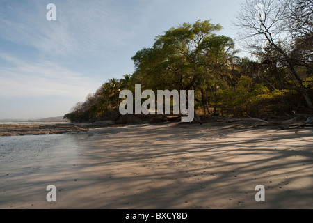 Beach and treeline Costa Rica Stock Photo - Alamy