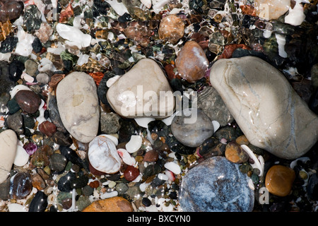 Coloured stones and pebbles along the shoreline in Costa Rica Stock ...