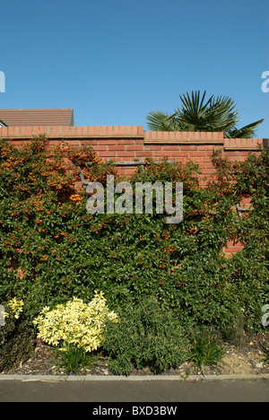 Springfield Estate Chelmsford Essex Essex UK Stock Photo - Alamy