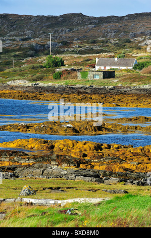 Coral Strand at Derrygimla, County Galway, Ireland Stock Photo - Alamy
