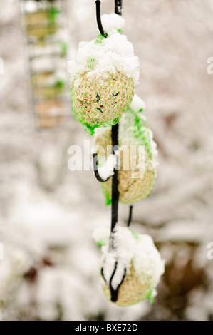 Snow covered bird fat ball feeder Stock Photo - Alamy