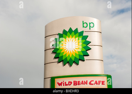 BP and Wild Bean Cafe sign outside a petrol station. British Petroleum ...