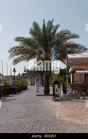 Dubai creek promenade with palm trees and agaves Stock Photo - Alamy