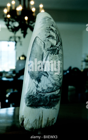 Scrimshaw (engraving) on a whale tooth on display inside the ...