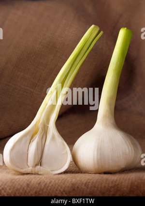 Fresh organic whole Garlic bulbs in wicker basket on wooden background ...