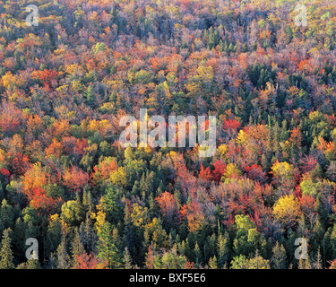 Autumn hillside along Brockway Mountain Drive, Keweenaw County, Upper ...