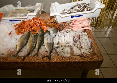 Mediterranean seafood from Majorca Stock Photo - Alamy