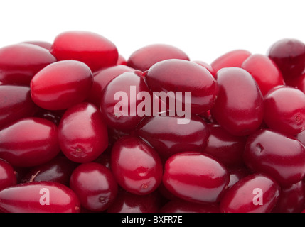 The cornel fruit Stock Photo - Alamy
