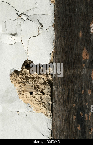 Old lime damaged plaster on the wall of house Stock Photo - Alamy